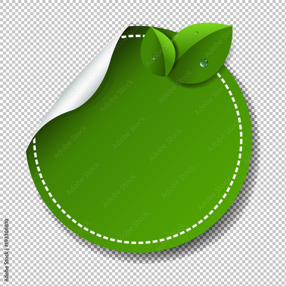 Green Label Isolated Transparent Background Stock Vector | Adobe Stock
