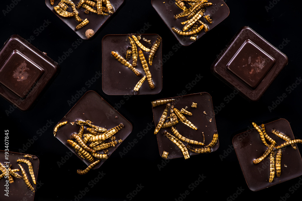 Chocolate with edible worms, culinary trends Stock Photo | Adobe Stock