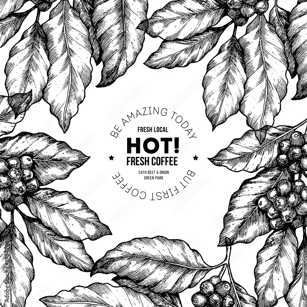 Coffee tree illustration. Engraved style illustration. Vintage coffee ...