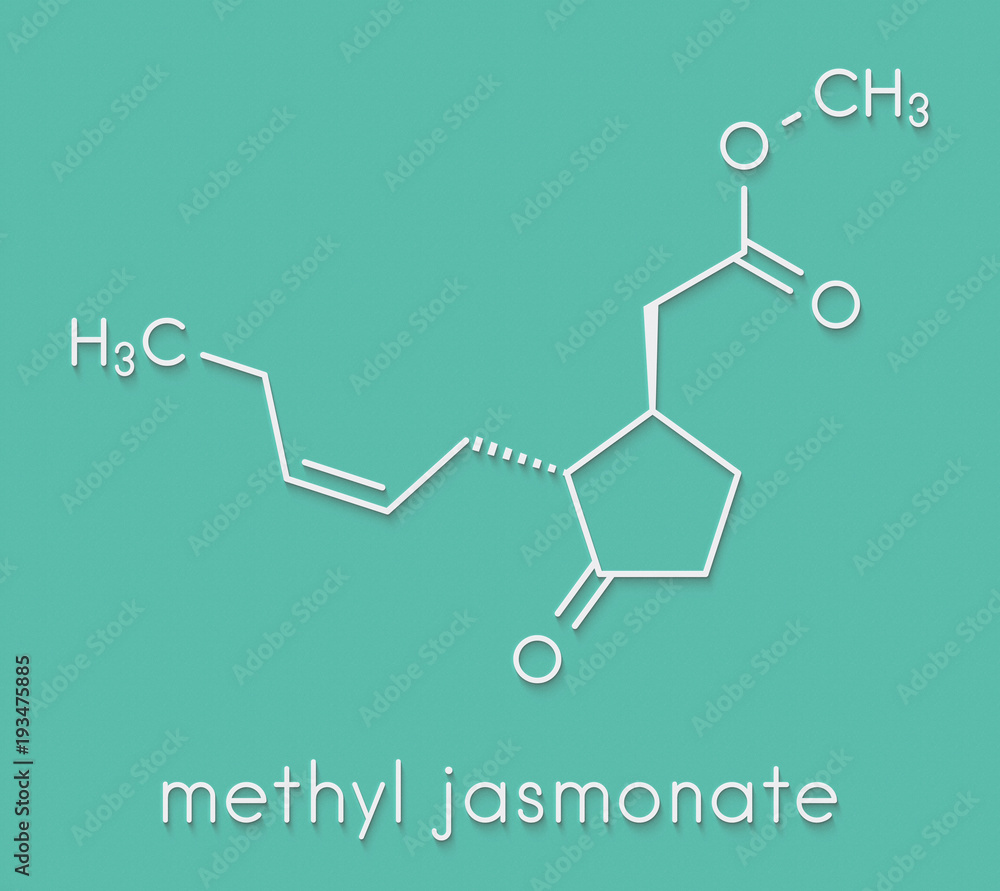 Methyl jasmonate plant stress signal molecule. Skeletal formula. Stock ...