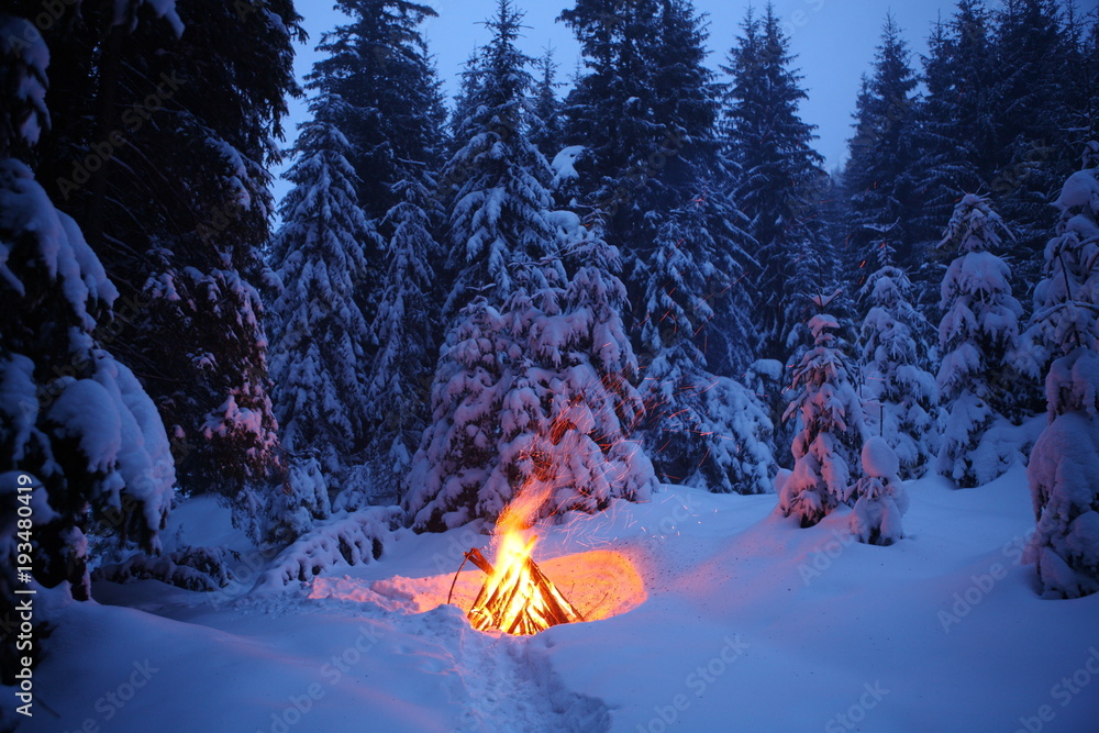 Bonfire in the winter forest illuminates the snow. Stock Photo | Adobe ...
