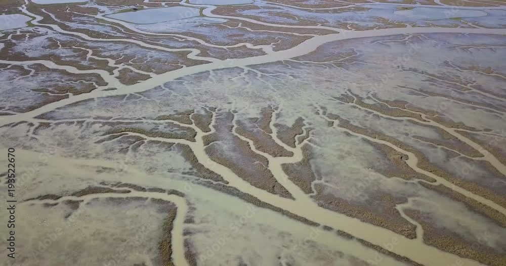 Drone video of a delta where the river with its branches flows into the ...