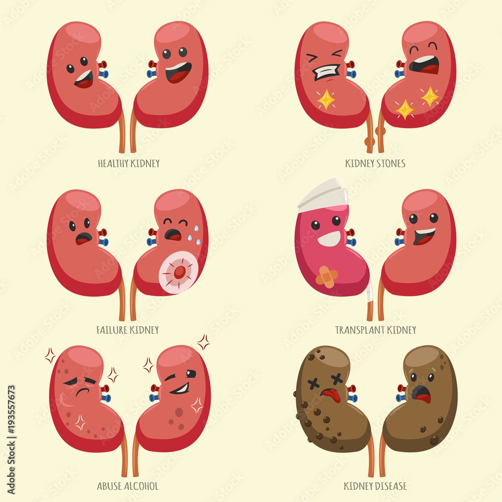 Cute kidney vector cartoon character set. Medical illustration with ...
