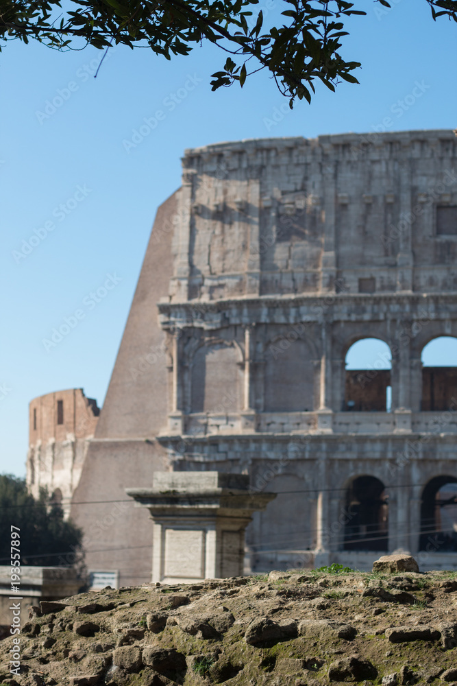 Tree branch and stone wall framing Coliseum in background, shallow ...