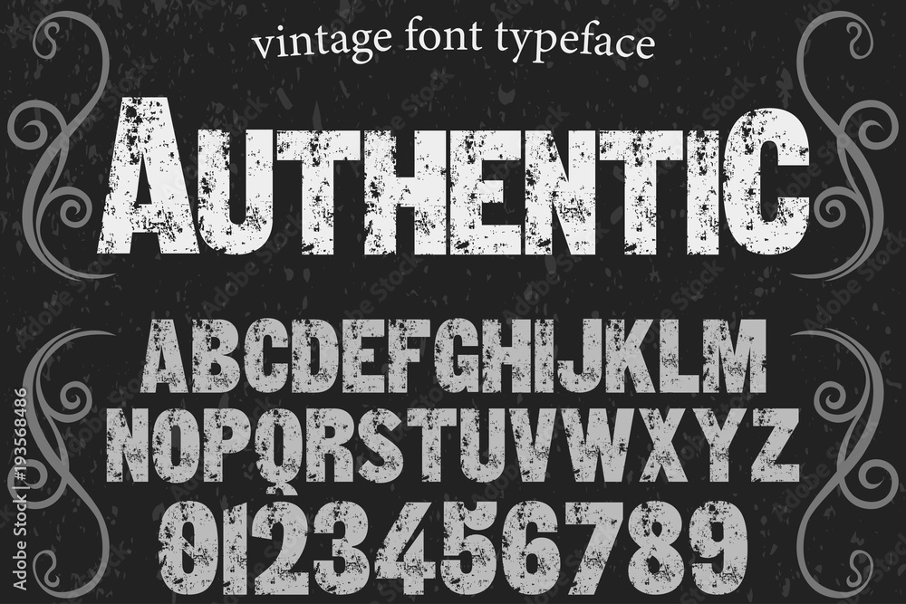 font handwritten vector Calligraphic alphabet,vector,script,font,labels ...