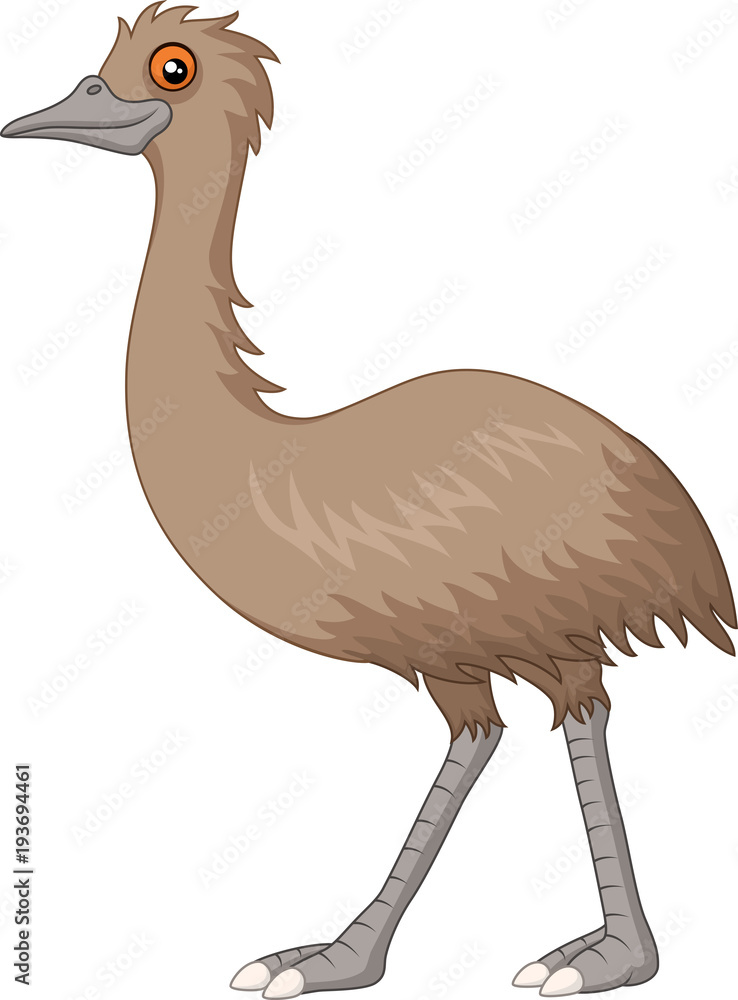 cartoon emu isolated on white background Stock Vector | Adobe Stock