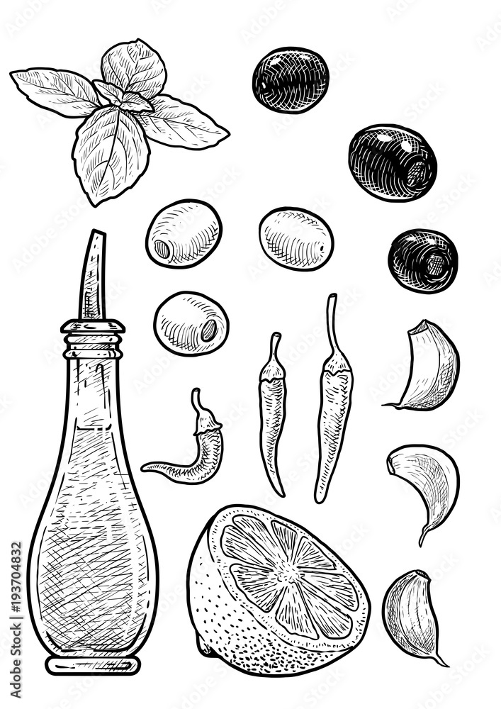 Oil Vinegar Bottle Illustration Drawing Engraving Ink Line Art Vector Stock Vector Adobe