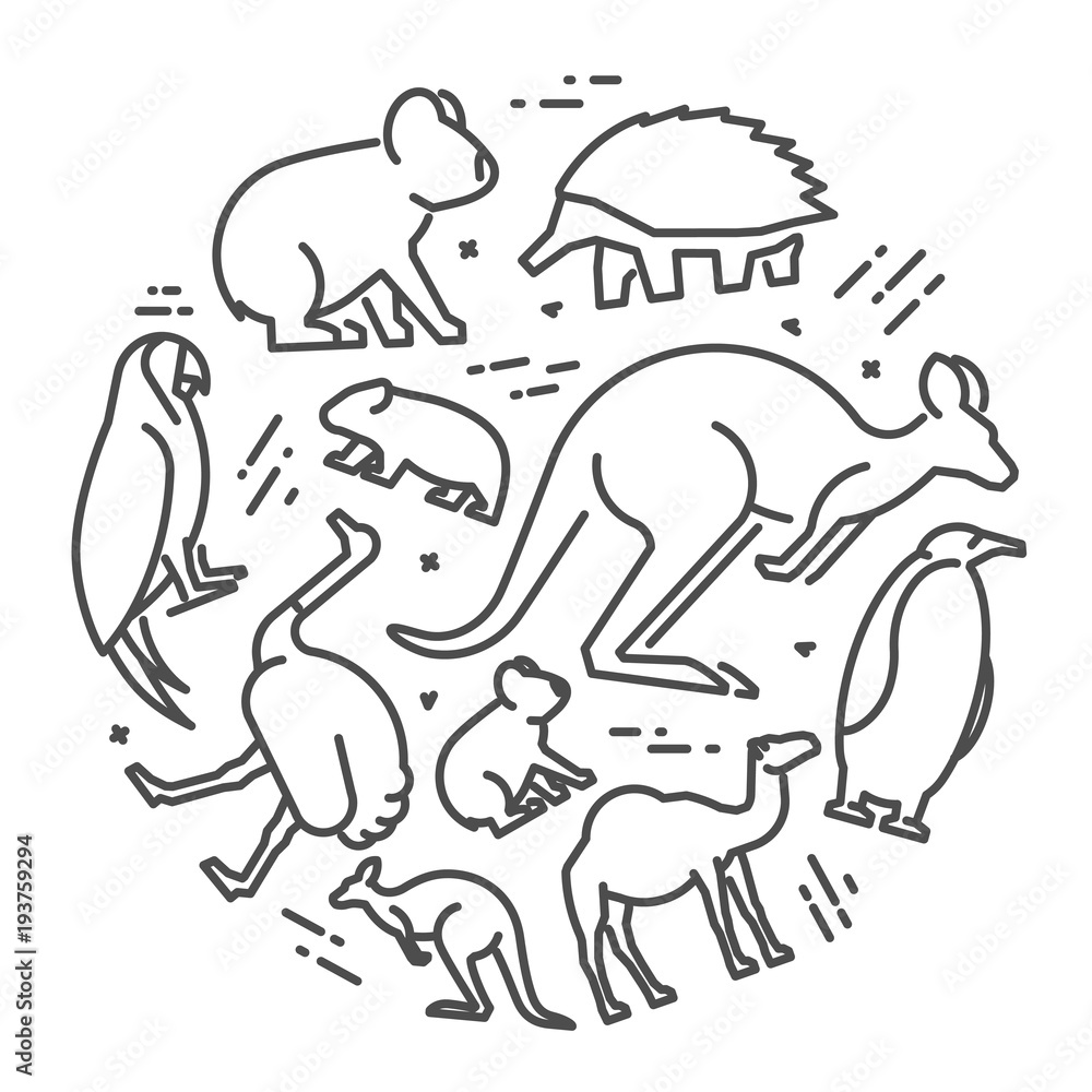 Vector line concept of australian animals Stock Vector | Adobe Stock