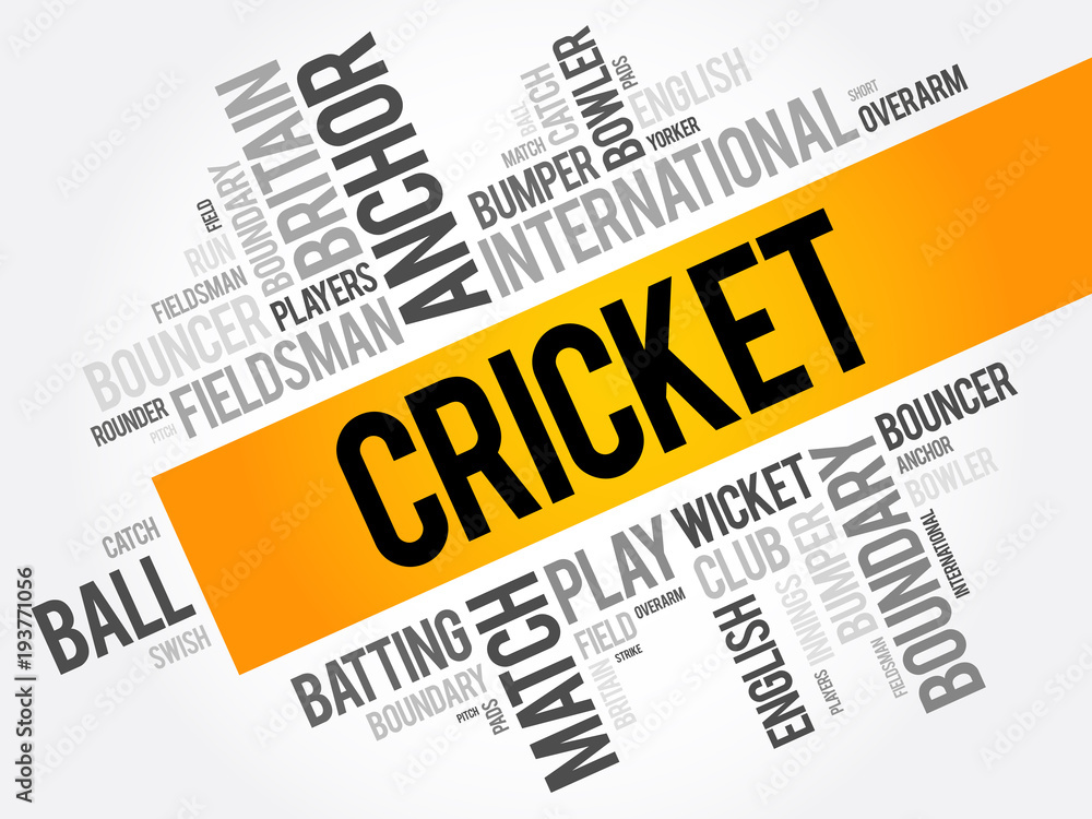 Cricket word cloud collage, sport concept background Stock Vector ...