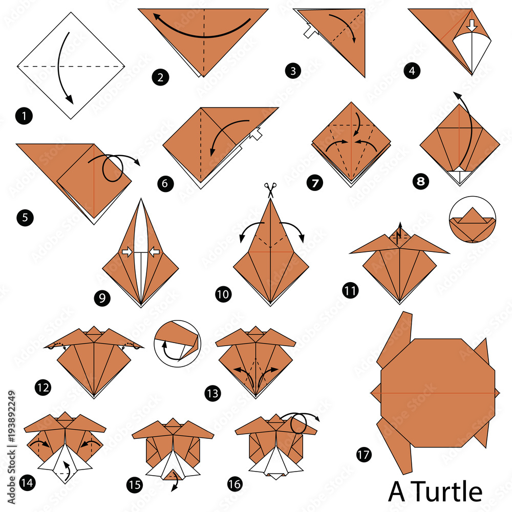 step by step instructions how to make origami A Turtle Stock Vector ...