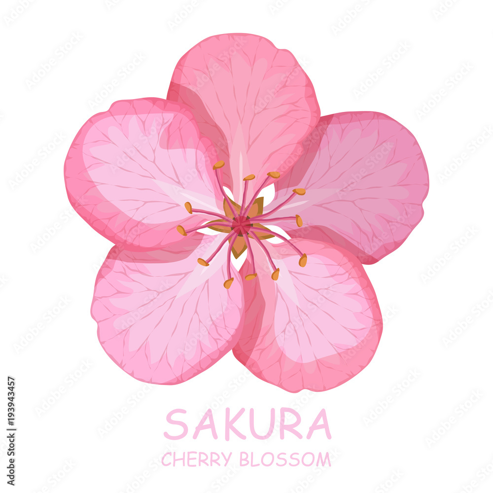 Traditional Japanese Flowers