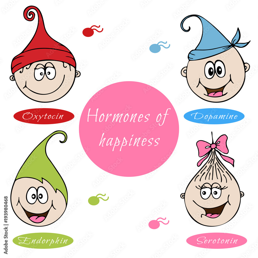 Vector hormones of happiness, dopamine, endorphin, oxytocin, serotonin ...