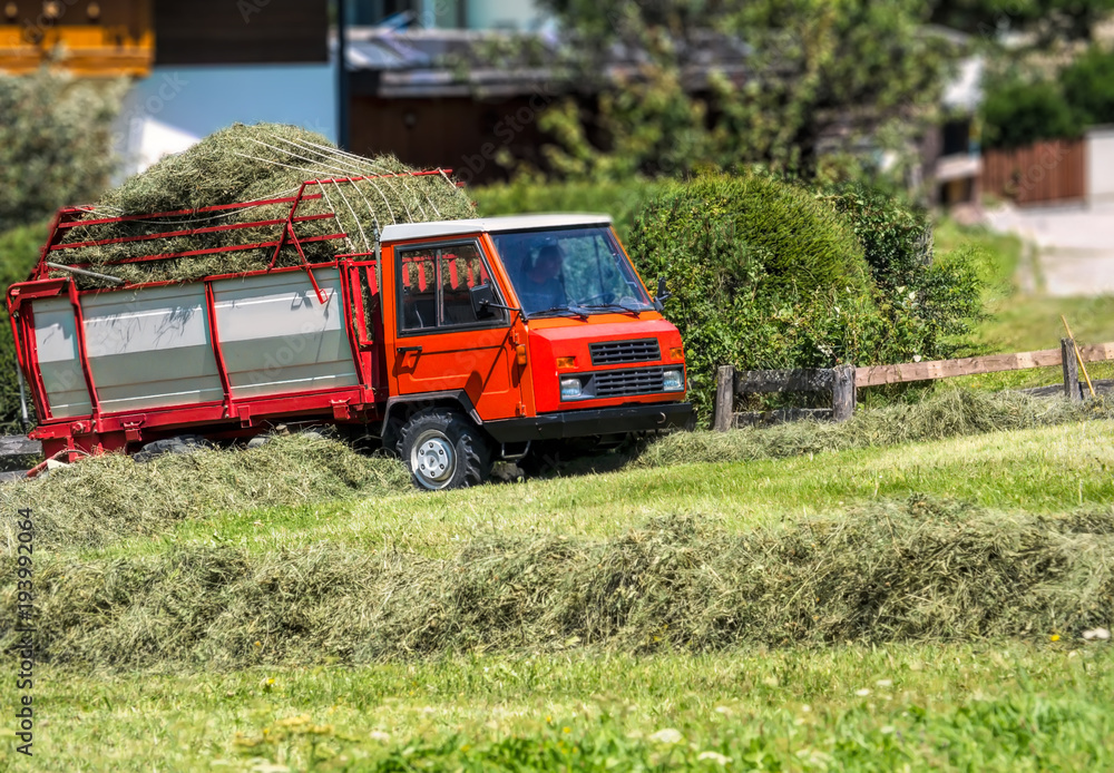 Heuernte in den Alpen -Hochgebirge Stock Photo | Adobe Stock