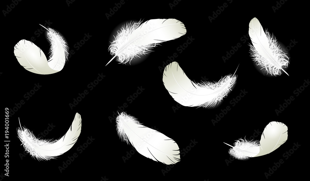 Realistic 3d detailed white swan pigeon feathers fluff set collection ...