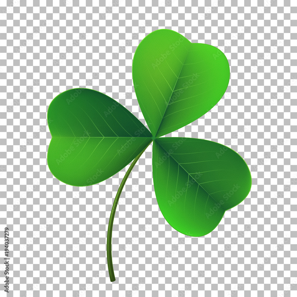 3 Leaf Clover Vector