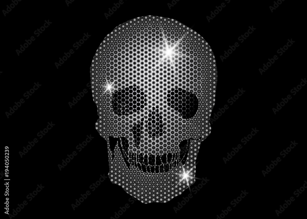 Shiny Skull of platinum and diamonds glittering stars . Metallic Skull ...