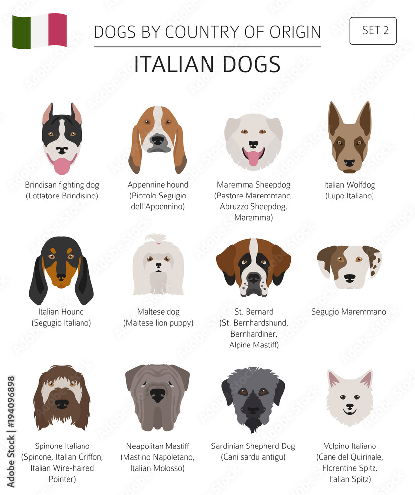 What Color Are Sardinian Shepherd Dog Dogs