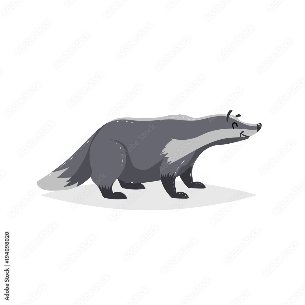 Cartoon cheerful badger. Forest Europe and North America animal. Flat ...