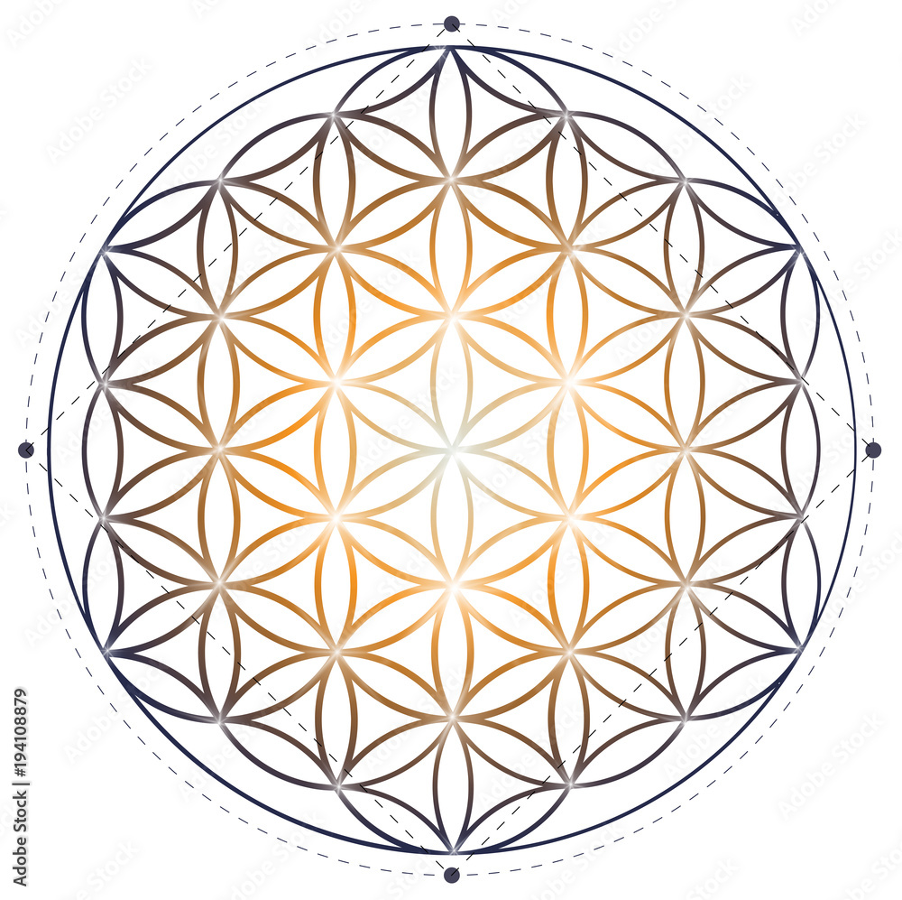 Sacred geometry illustration: Flower of Life symbol. Stock Vector ...