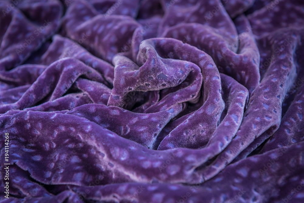 Vintage fabric Panne. Wavy folds of velvet texture. Color of the year ...