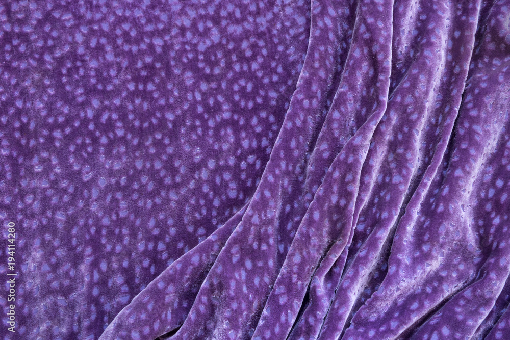 Vintage fabric Panne. Wavy folds of velvet texture. Color of the year ...