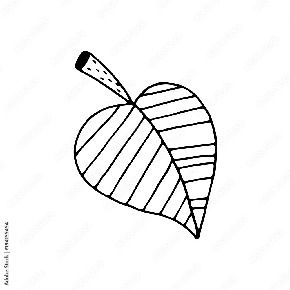 Linear cartoon hand drawn leaf. Cute vector black and white doodle leaf ...