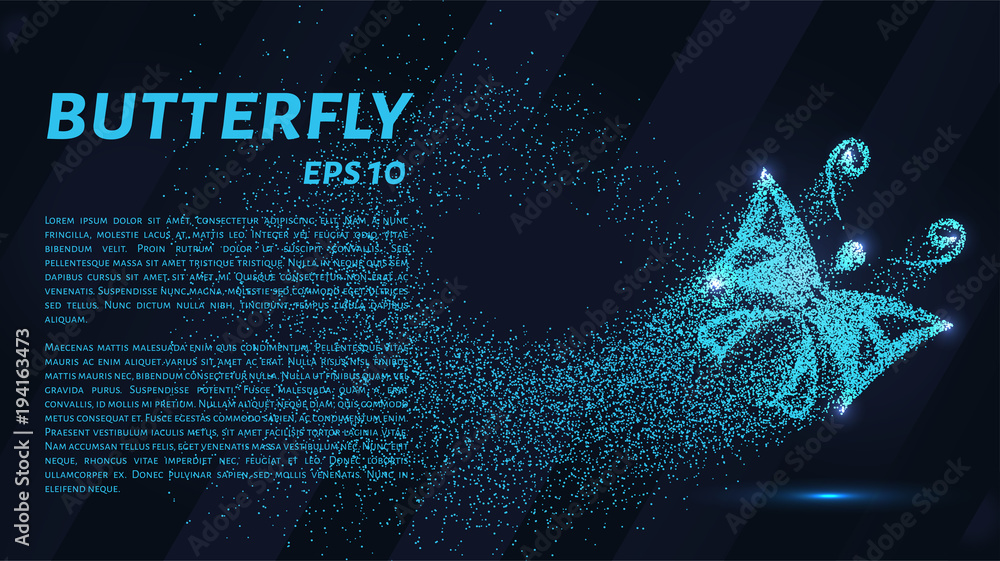 Butterfly of the particles. The butterfly consists of circles and ...