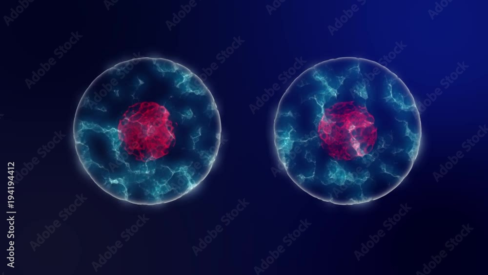 Cell division microbiology background with purple cell nucleus and blue ...