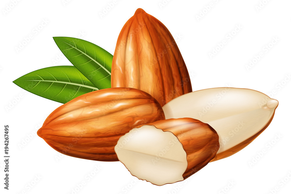 Almond Vector Png
