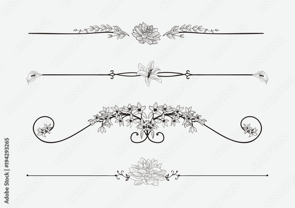 Vector Black Floral Dividers with Flowers and Swirls Stock Vector ...