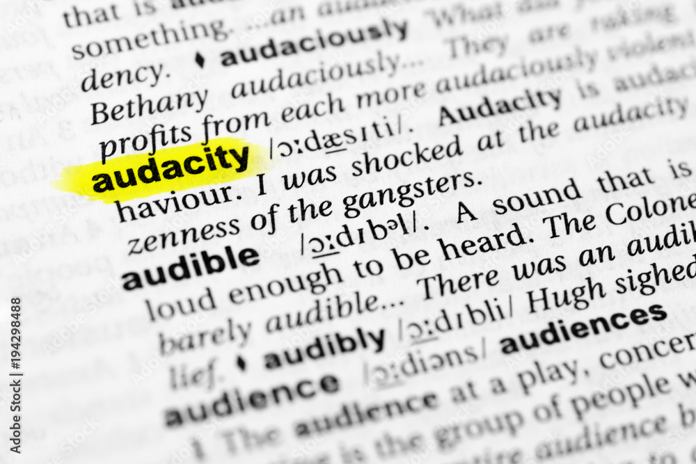 Audacity Definition