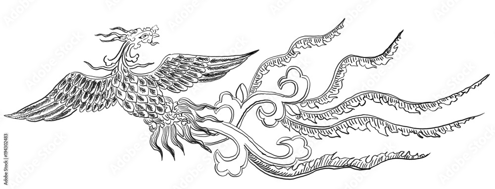 Chinese Phoenix Drawing