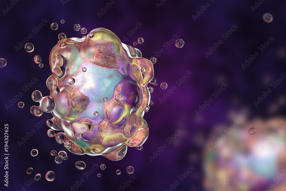 Cell apoptosis, a process of programmed cell destruction that occurs in ...