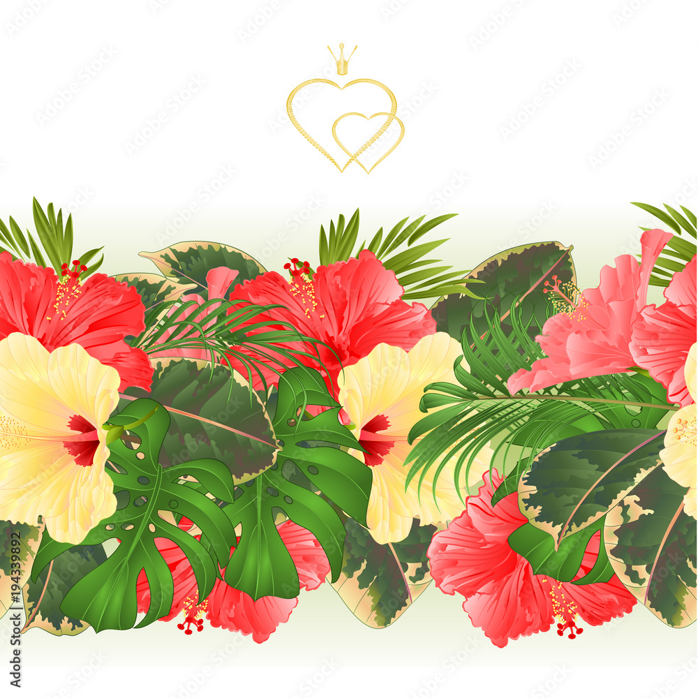 Floral border seamless background with blooming hibiscus and tropical ...