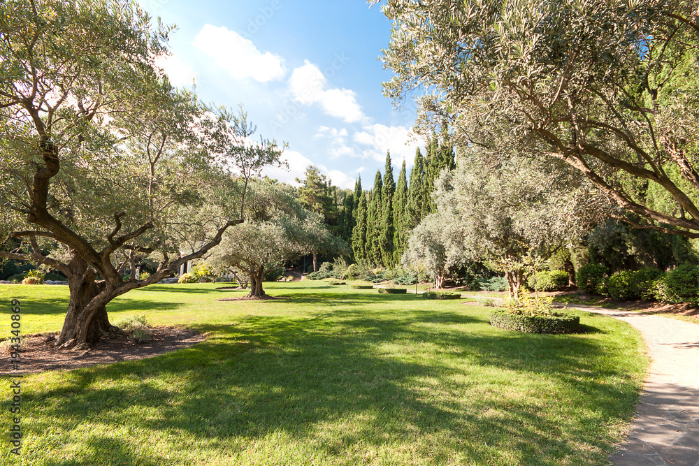 Beautiful park with path in suumer day blue sky - Garden design ...