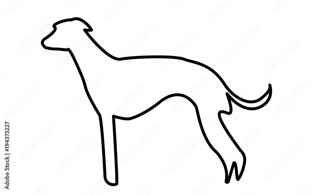 whippet silhouette outline on white background Stock Vector | Adobe Stock