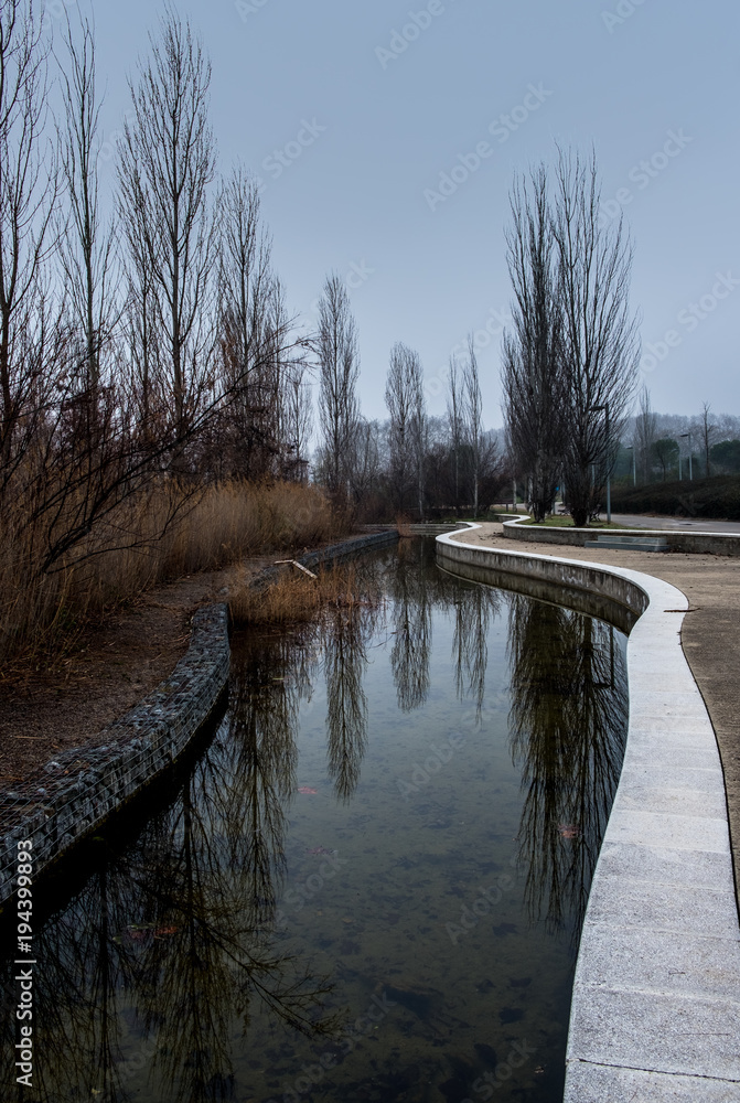 lineas y curvas de lago en parque nublado Stock Photo | Adobe Stock