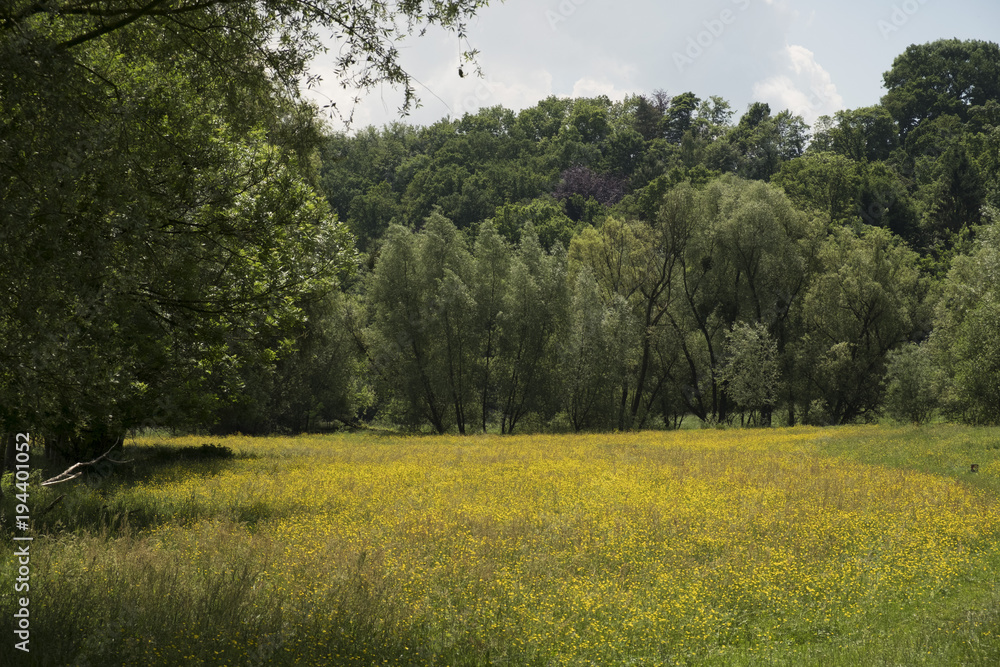 Het Geuldal in zuid-limburg Stock Photo | Adobe Stock