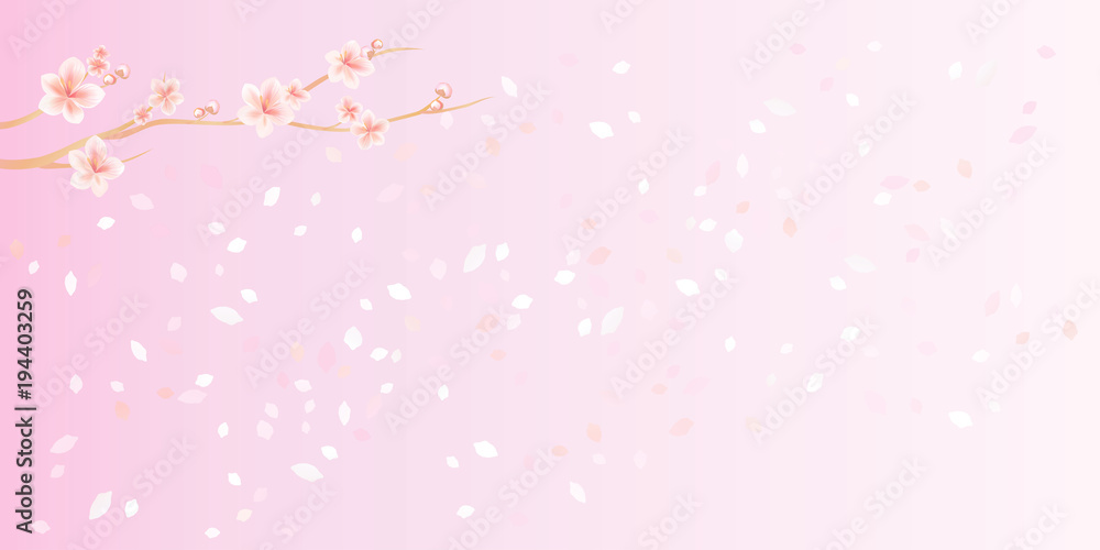 Branches of Sakura with Pink flowers isolated on Pink gradient ...