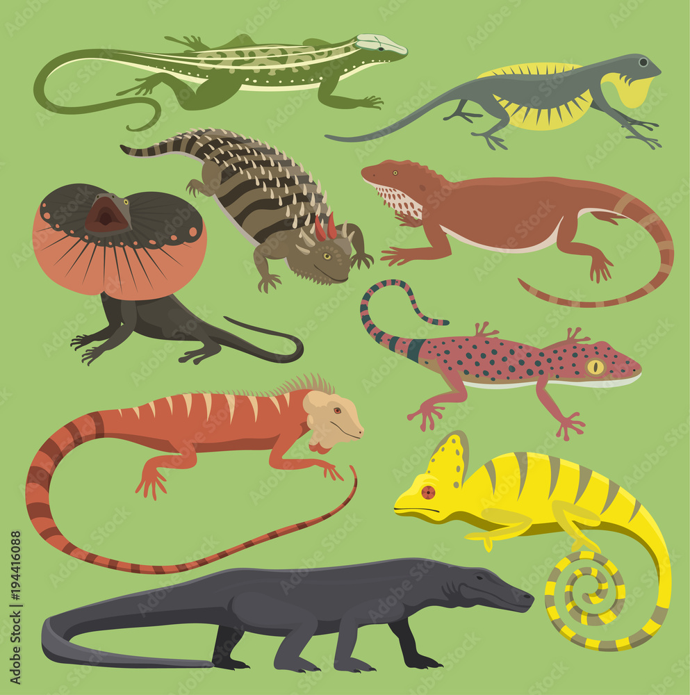 Reptyle vector lizard reptile isolated illustration wild cartoon nature ...