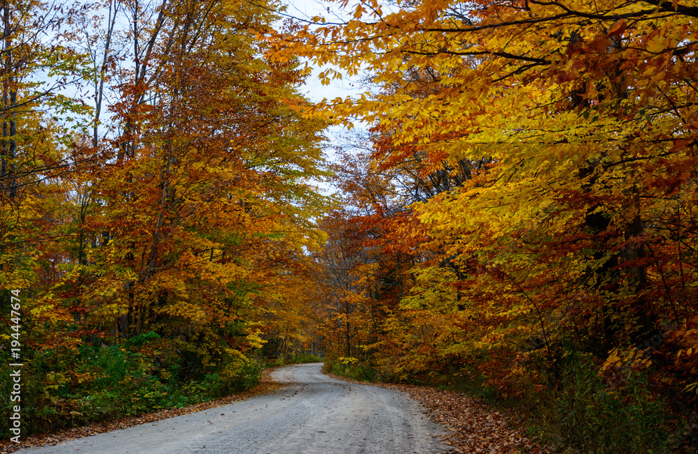 Fall road in forest of Pictured Rocks National Lakeshore Munising ...