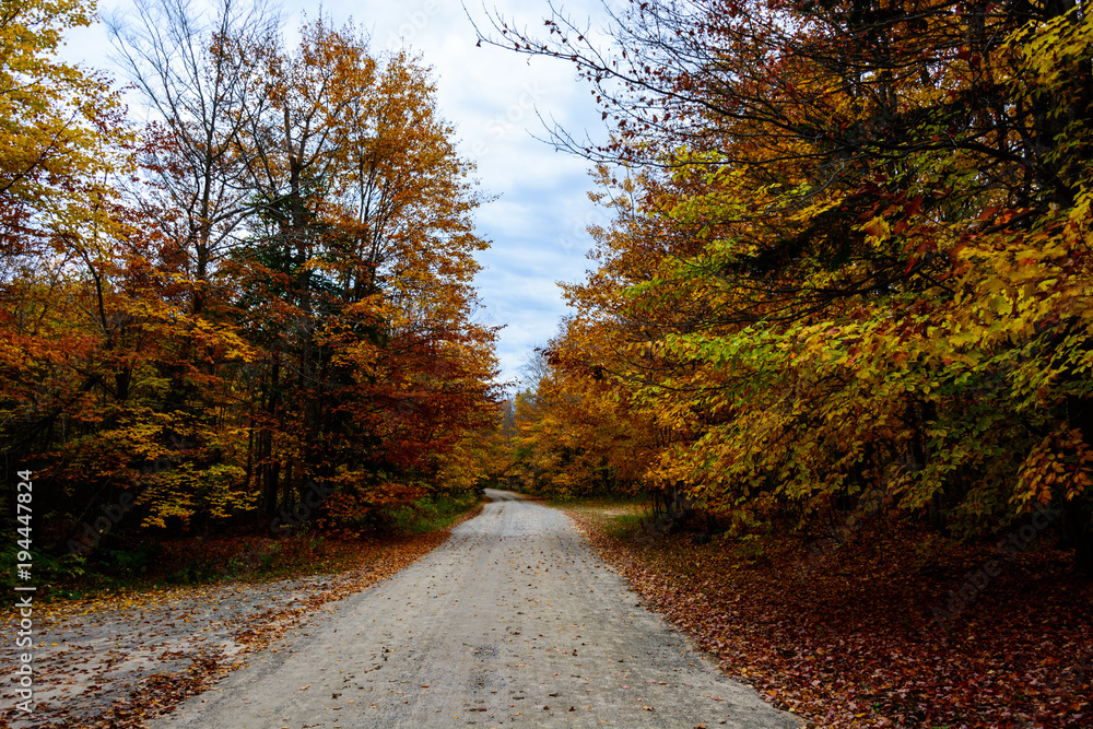 Fall road in forest of Pictured Rocks National Lakeshore Munising ...