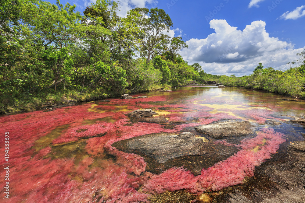 The River Of Five Colors