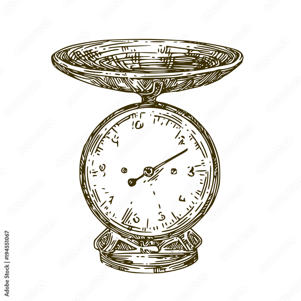 Scale for kitchen. Sketch. Engraving style. Vector illustration. Stock ...