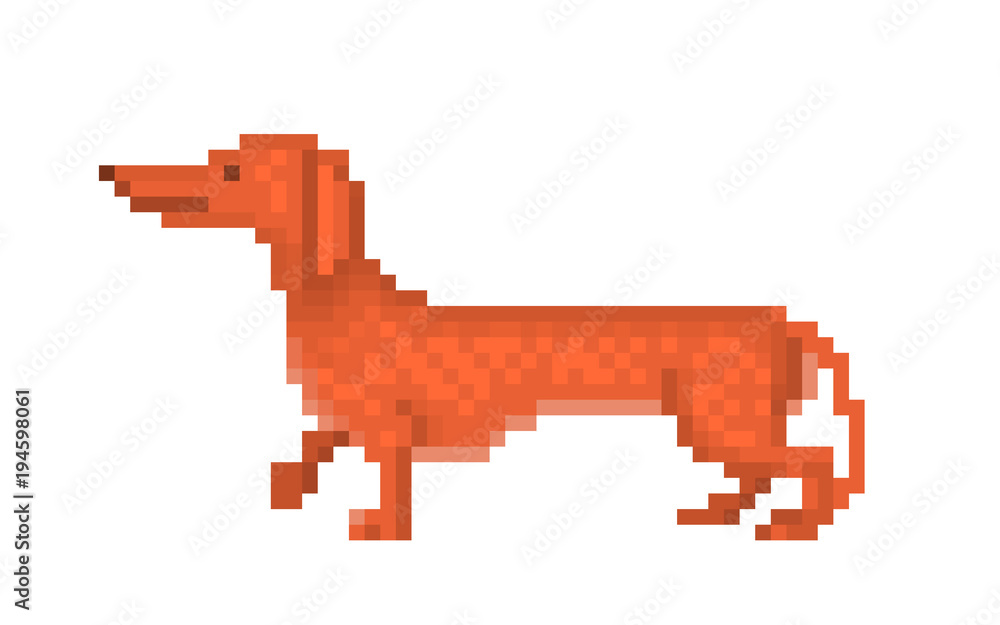 Red smooth dachshund, pixel art character isolated on white background ...