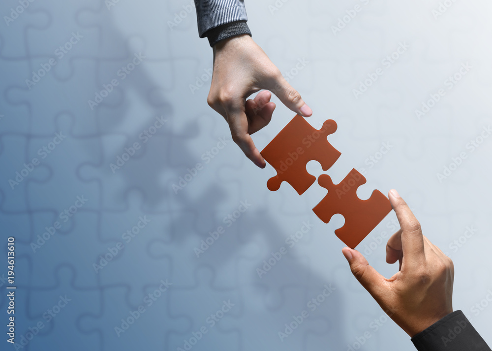 Business Partnership Puzzle