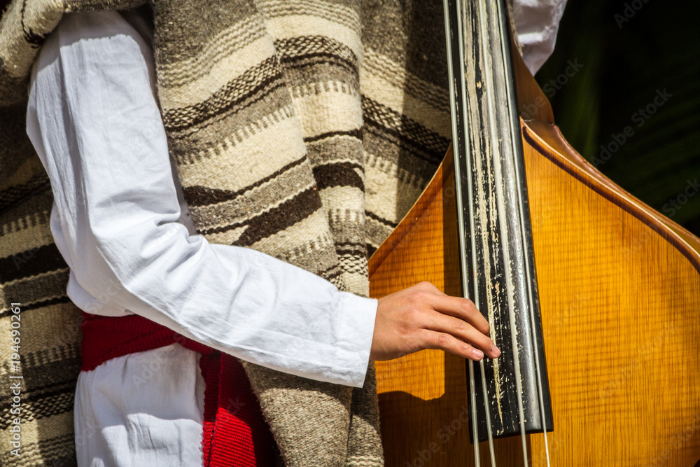 An arm of a musician on the strings of a double bass, also wearing ...