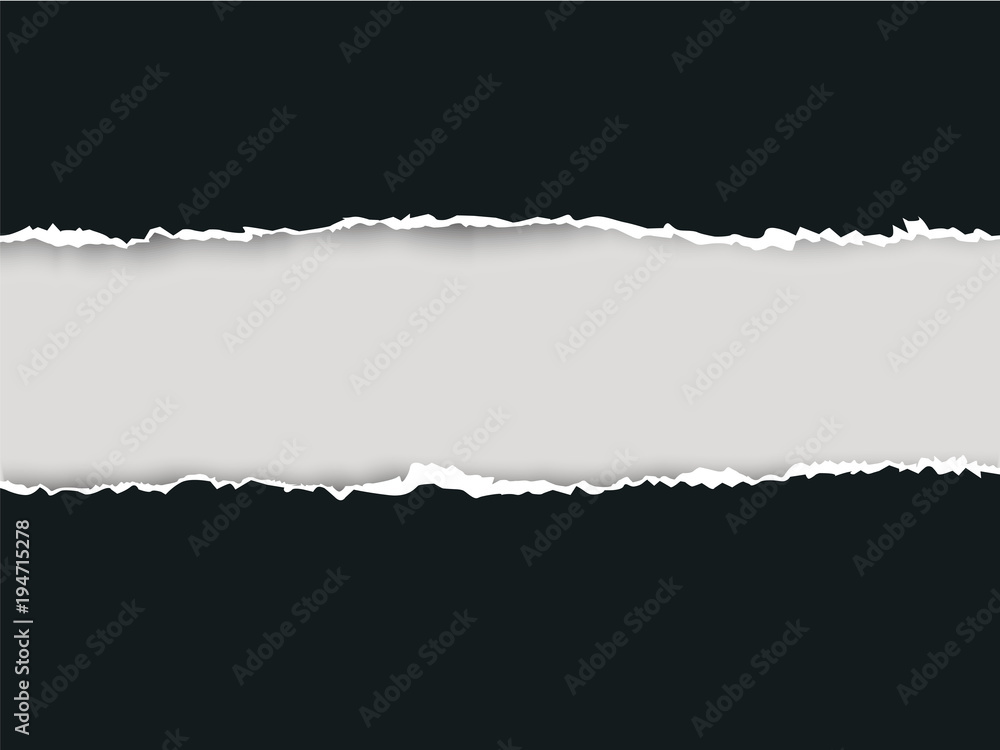Ripped paper long vector Stock Vector | Adobe Stock