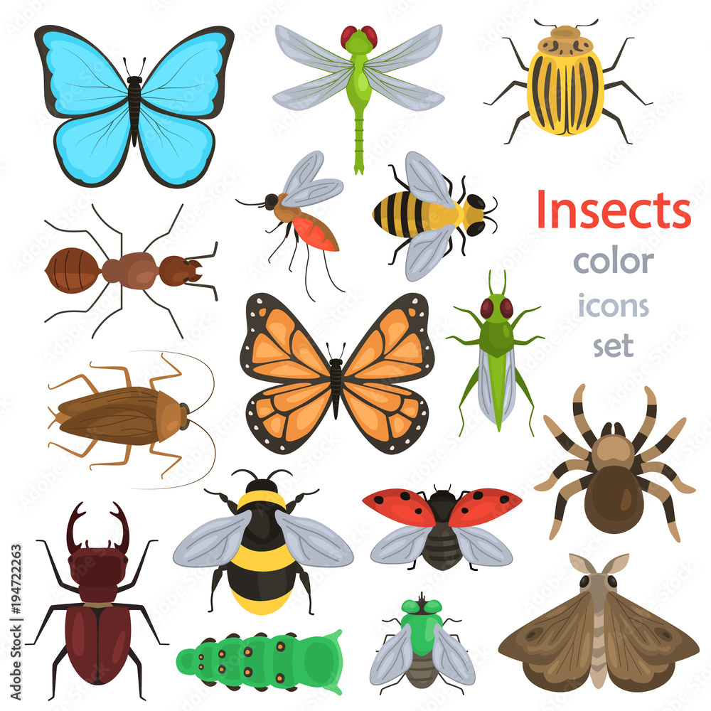 Set of different insects color flat icons Stock Vector | Adobe Stock