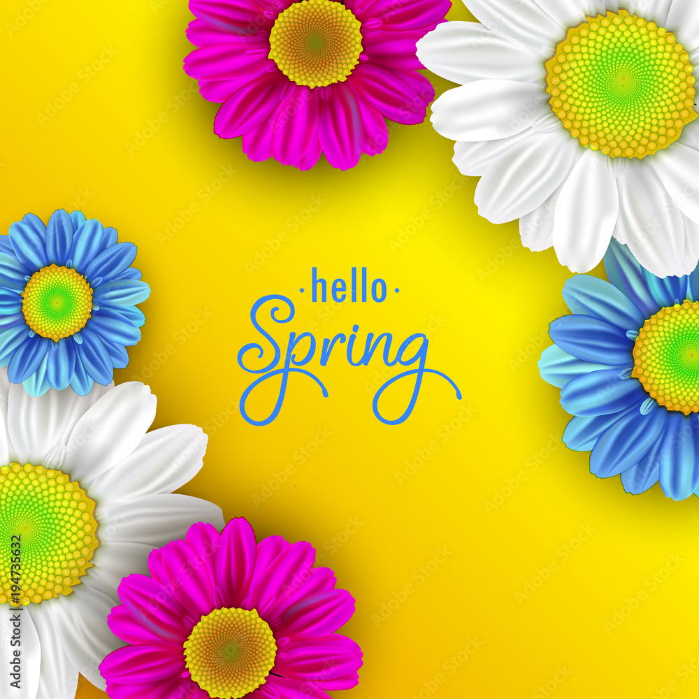 Colorful spring background with beautiful flowers. Vector illustration ...